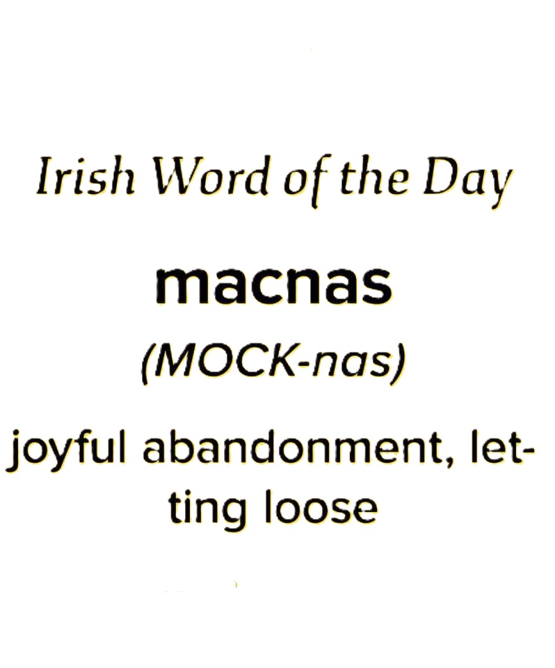 SUMMERSIMO’S COMPASS IN IRISH WORD OF THE DAY – SummerSimo Travel ...